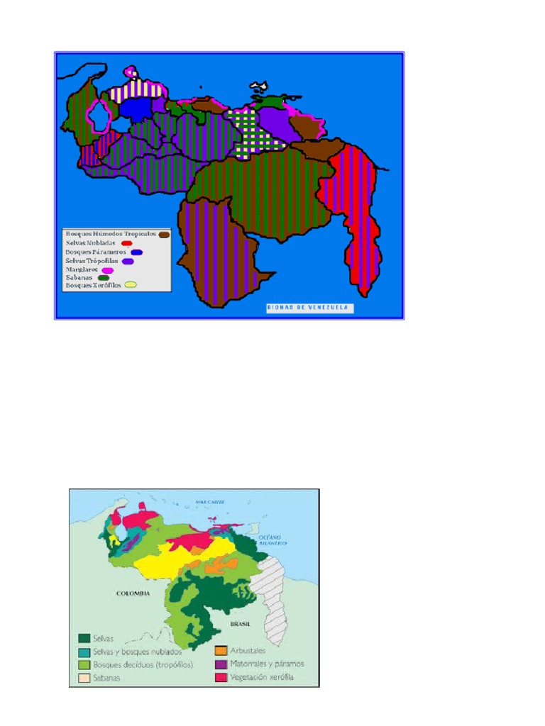 Mapa de Biomas de Venezuela | PDF