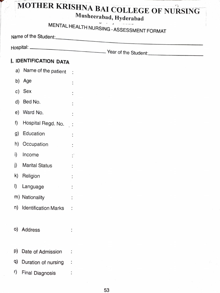 MHN Format | PDF | Adolescence | Family