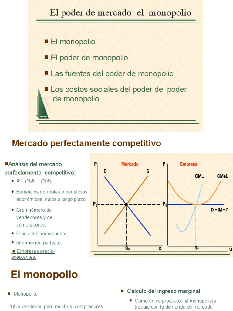 MICROECONOMÍA Poder de Mercado Monopolio | PDF | Monopolio | Mercado ...