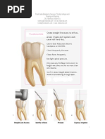 Dental Practicality Index | PDF | Human Tooth | Dentistry