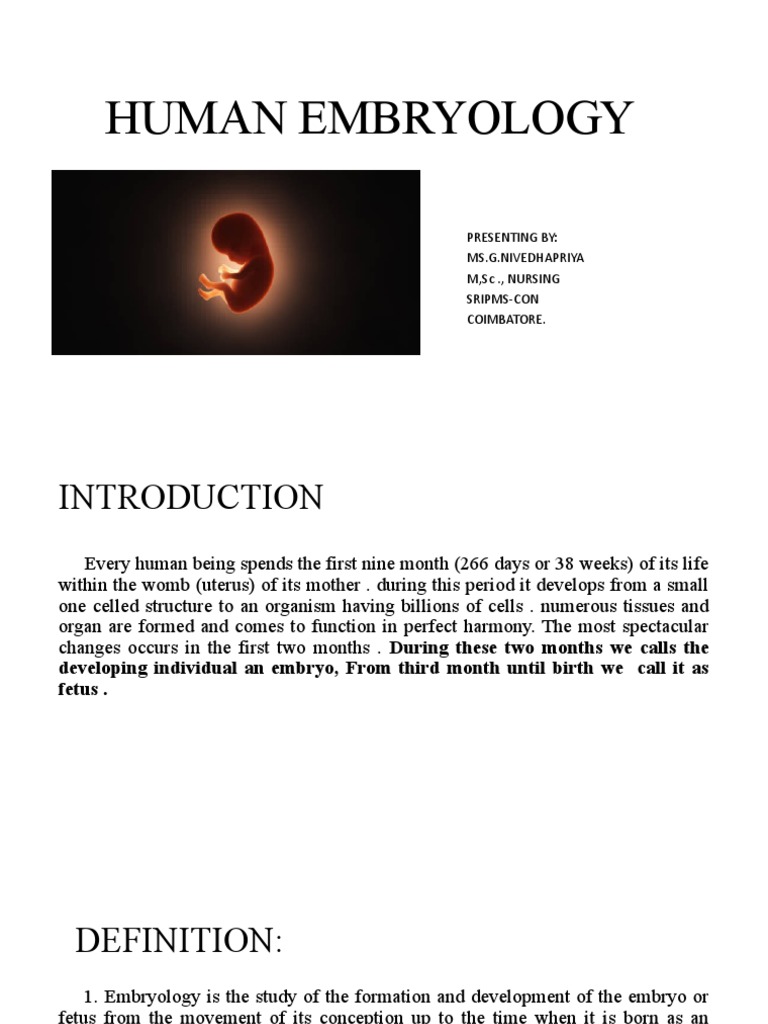 Human Embryology | PDF | Fertilisation | Biological Interactions