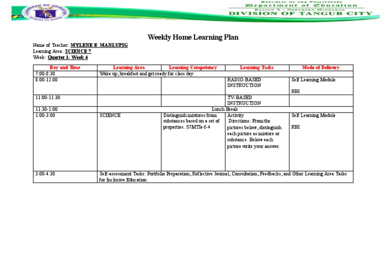 SCIENCE-Weekly Home Learning Plan | PDF