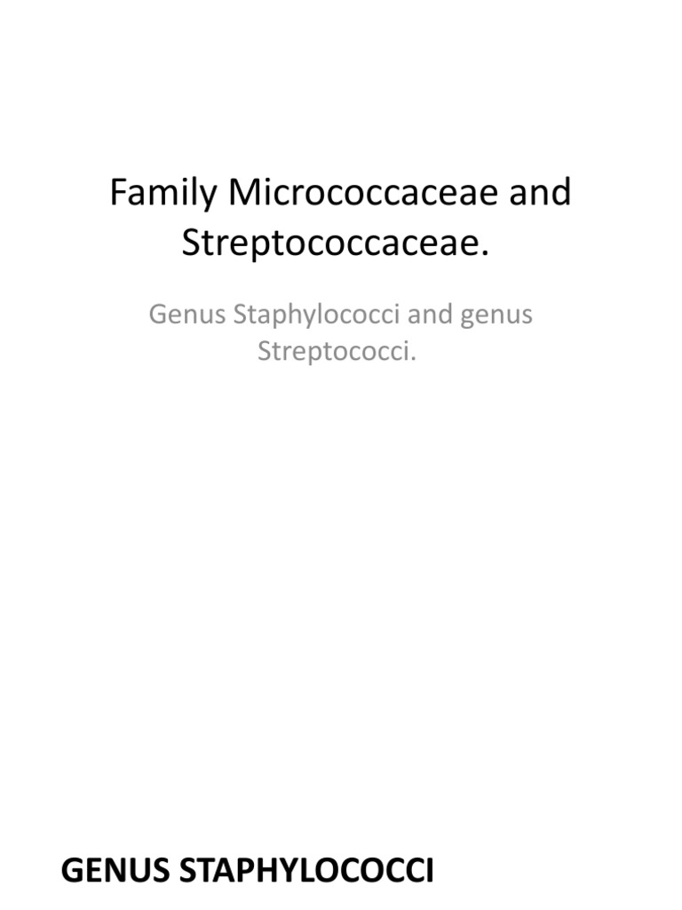 Family Micrococcaceae and Streptococcaceae | PDF | Streptococcus ...