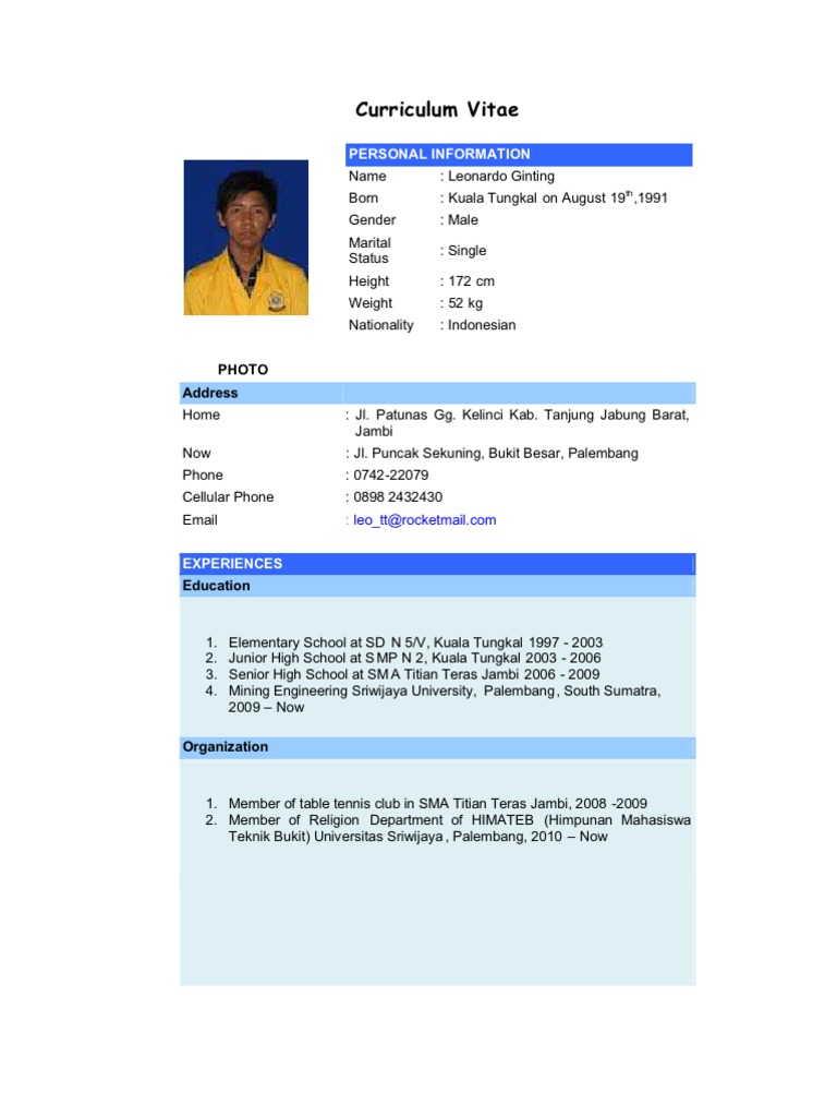 Leonardo Ginting Insights | PDF | Technology & Engineering