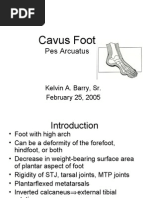 Podiatry Terms Glossary | PDF | Toe | Foot
