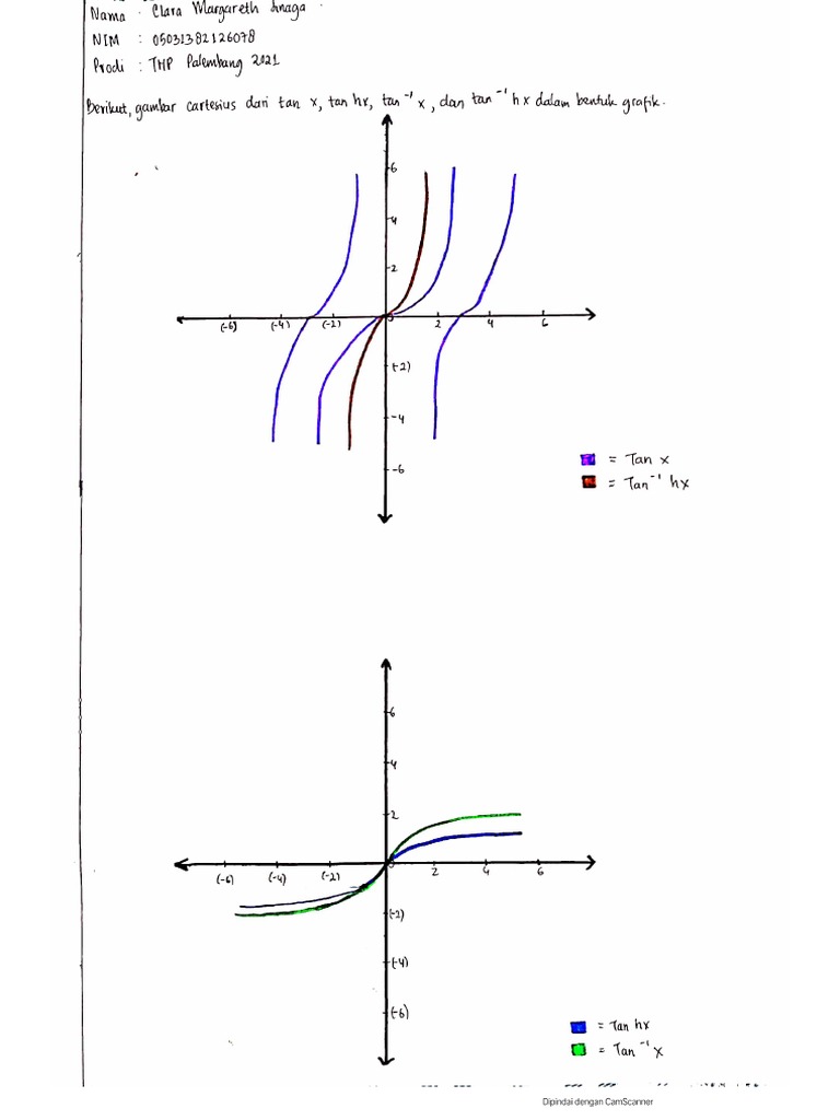 Clara Margareth Sinaga - Kalkulus Grafik Cartesius | PDF