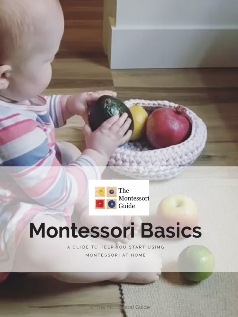 Montessori Basics | PDF | Infants | Montessori Education