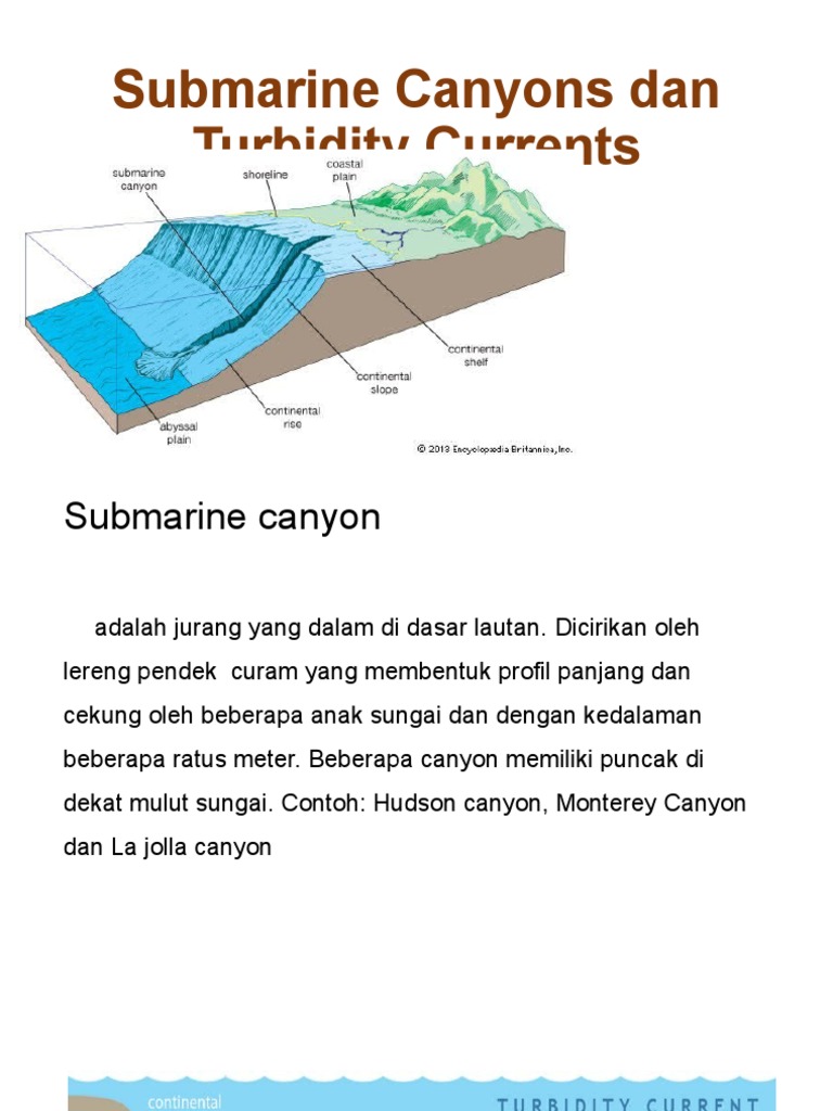 Submarine Canyons Dan Turbidity Currents Oseano | PDF