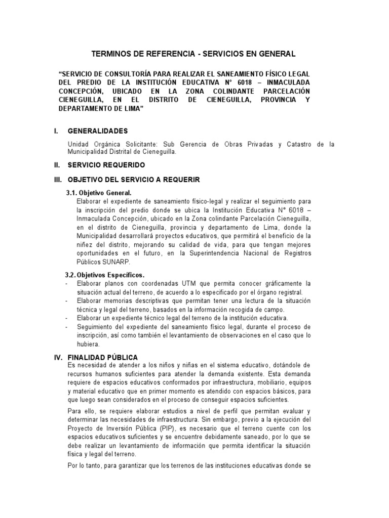 Terminos de Referencia - TDR | PDF | Topografía | Datos geográficos e información