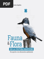 Características y Ubicación de Los Mapuche | PDF | Chile