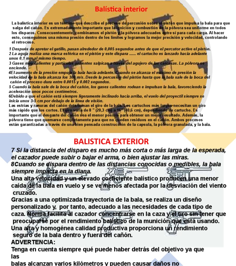 Balistica Interior y Exterior | PDF | Munición | Cartucho (armas de fuego)