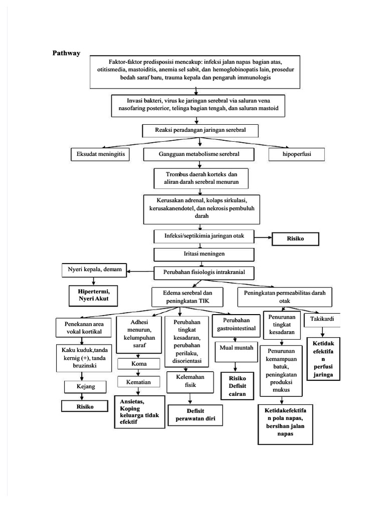 PDF Pathway Risiko Infeksi DL | PDF