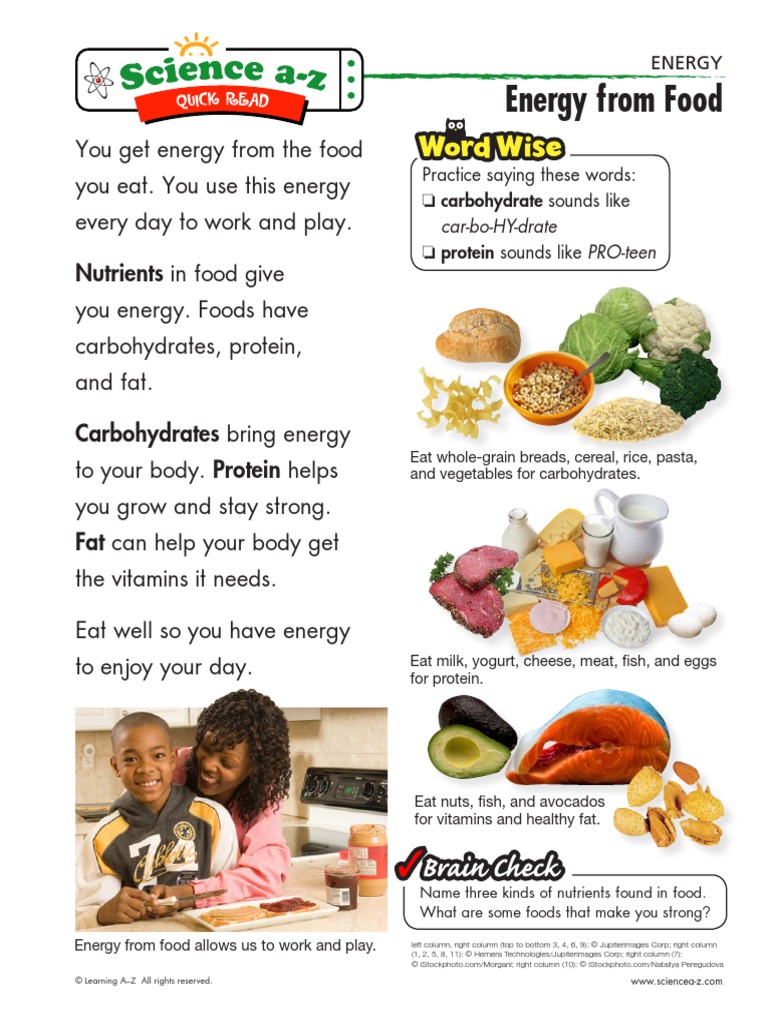 Energyk-2 QR Energy From Food High | PDF