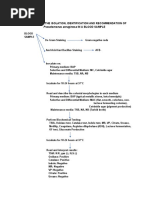 Biochemical Test and Identification of Pseudomonas Aeruginosa | PDF ...