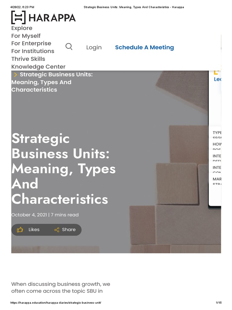Understanding Strategic Business Units | PDF | Strategic Management ...