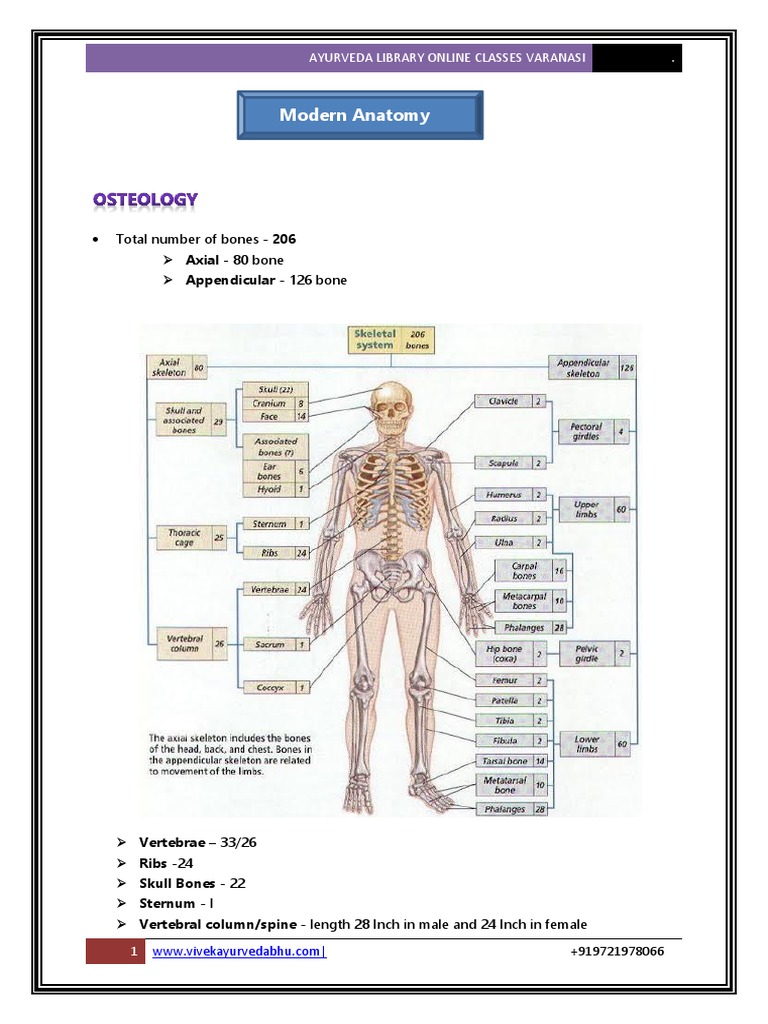 Anatomy (Ayurveda Library) F | PDF | Uterus | Stomach