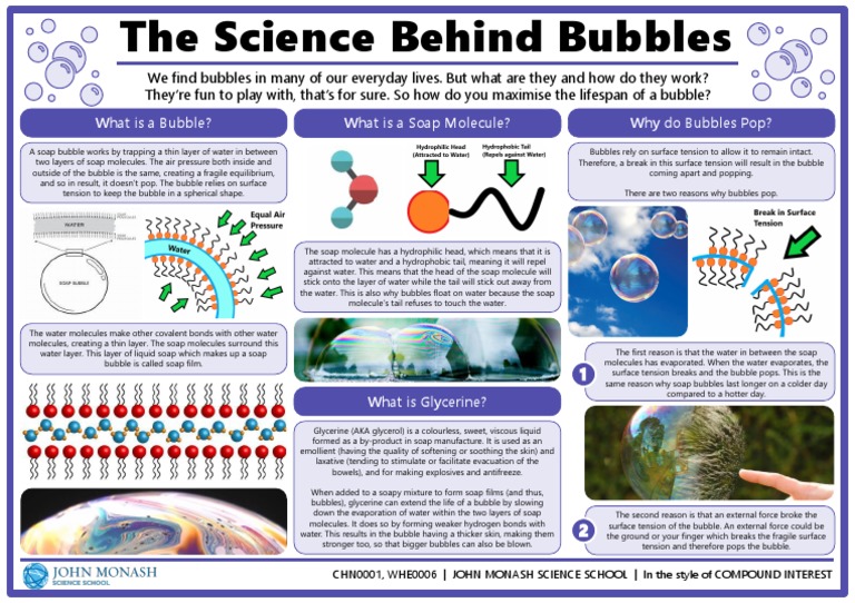 The Science Behind Bubbles Compound Interest Style Poster | PDF | Water ...