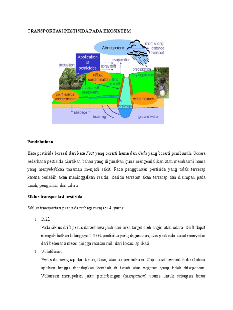 Penyebaran Residu Pestisida | PDF