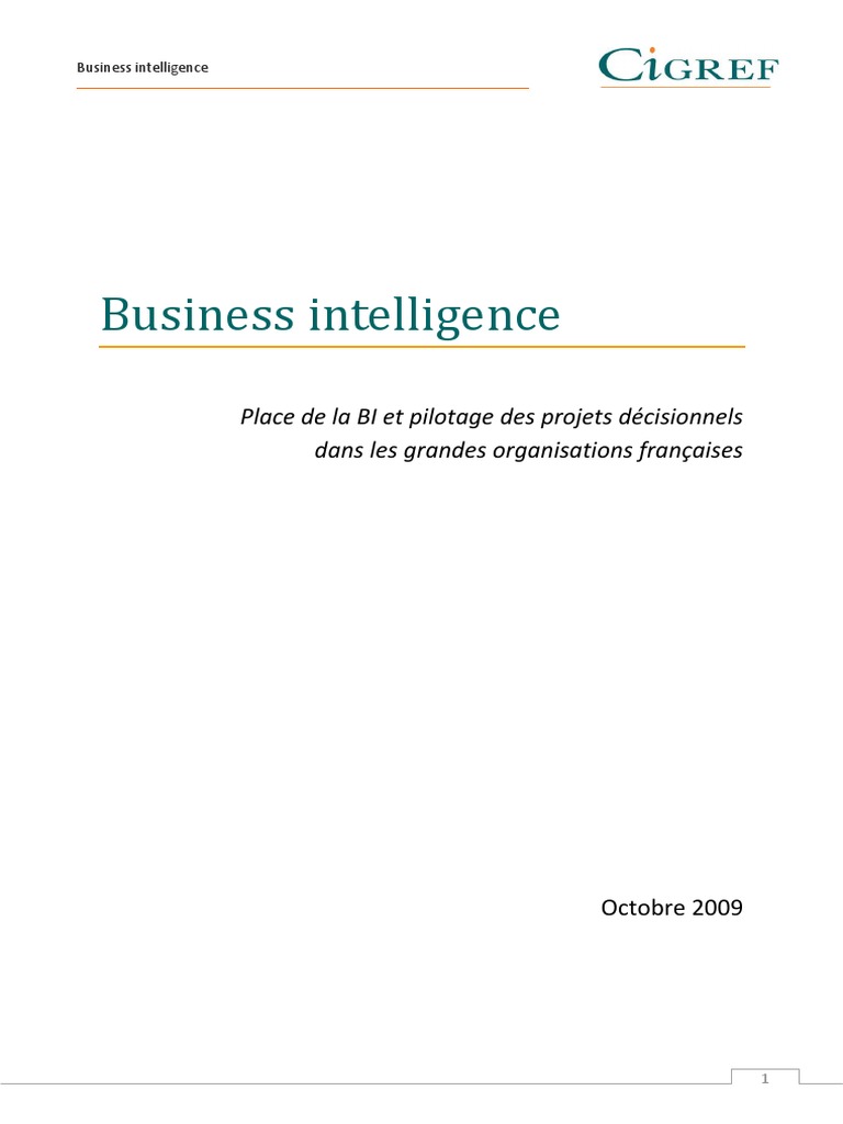 Business Intelligence | PDF