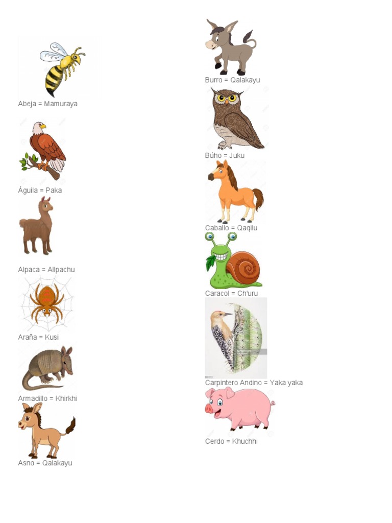 Animales en Aymara Mas Dibujos | PDF