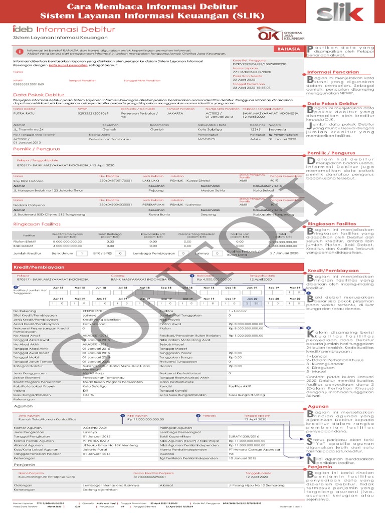 Cara Membaca IDeb SLIK | PDF