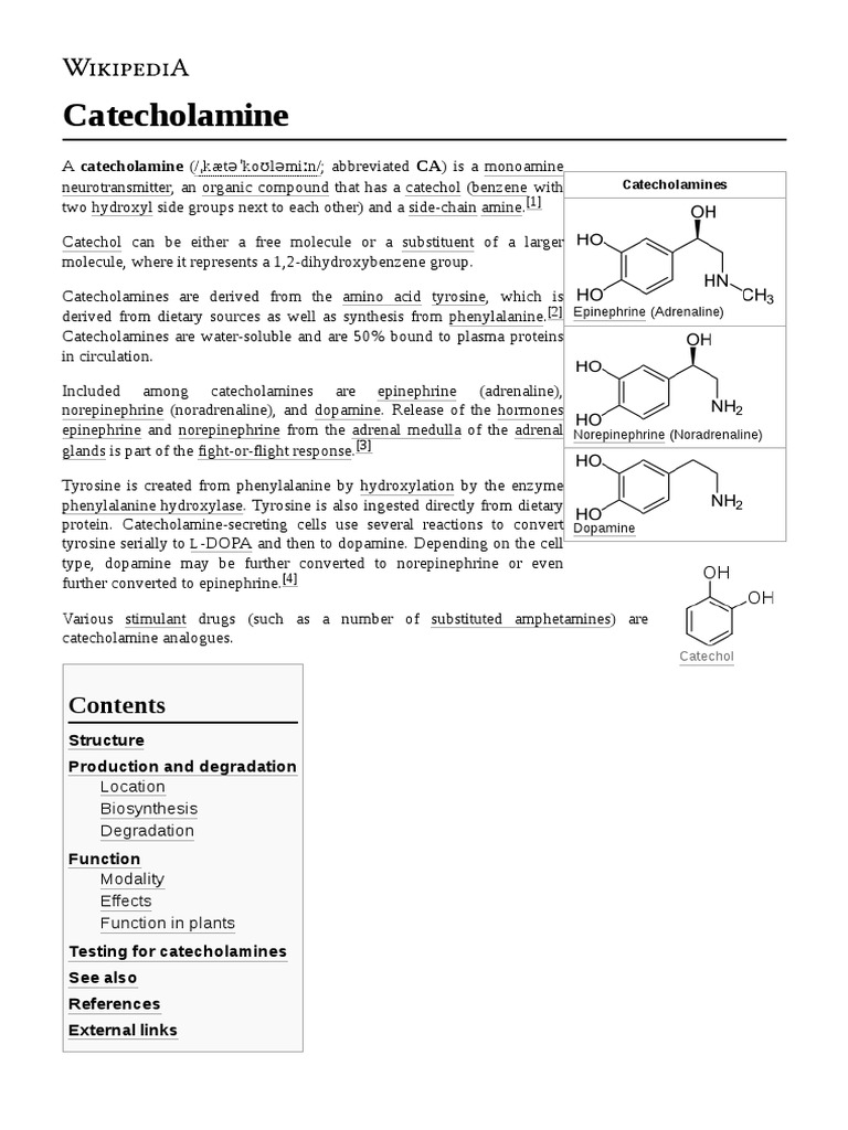 Catecholamine: Epinephrine (Adrenaline) | PDF | Norepinephrine | Tyrosine