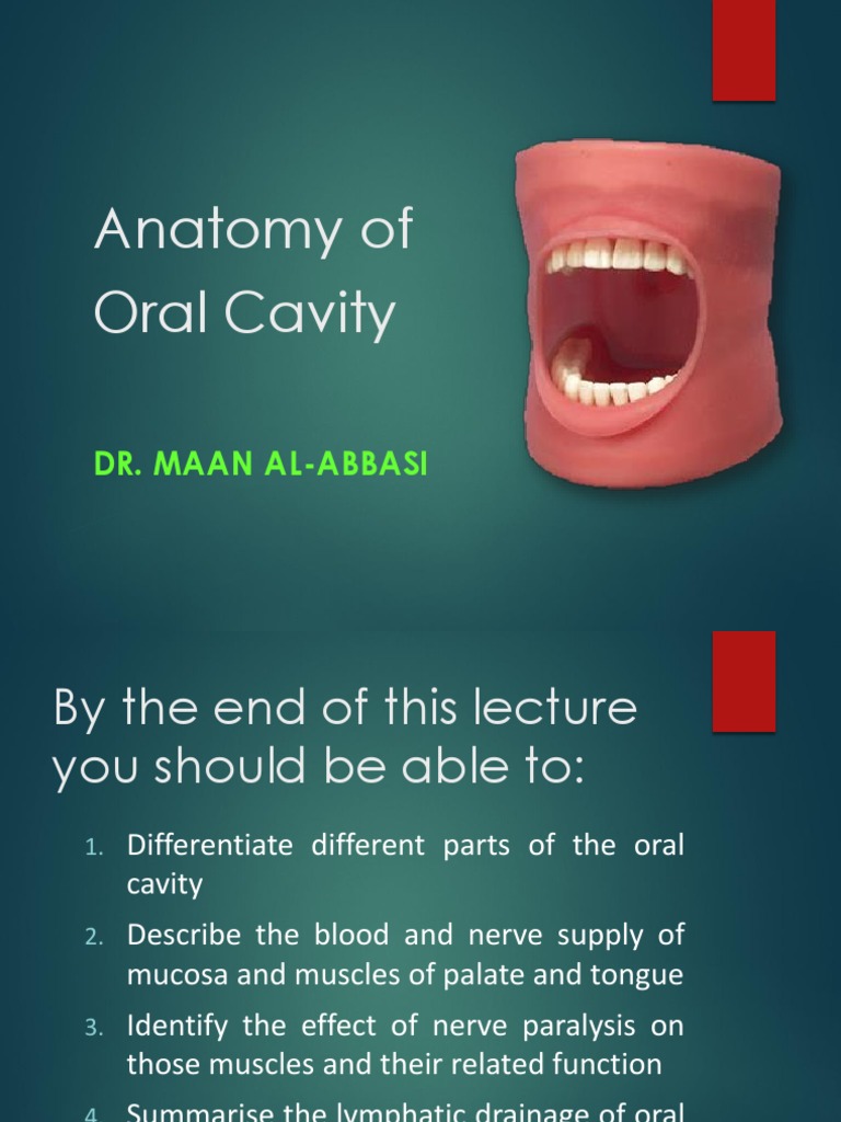 anatomy-of-oral-cavity-pdf