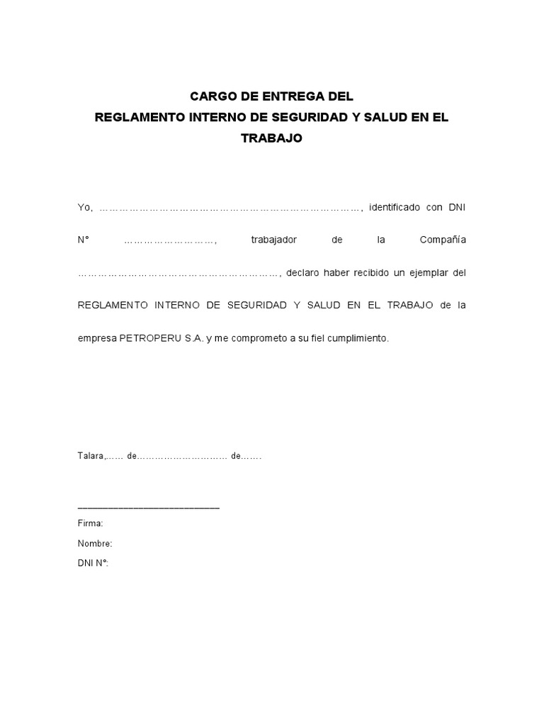 Cargo de Entrega RISST | PDF