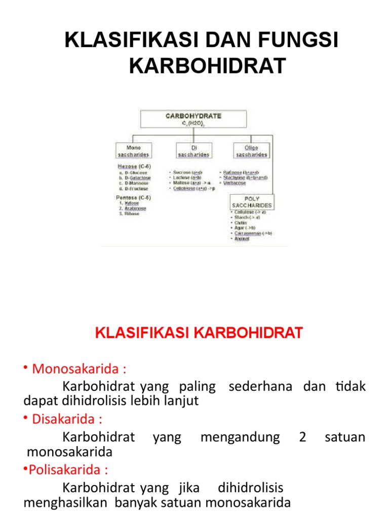 Fungsi Dan Klasifikasi Karbohidrat | PDF
