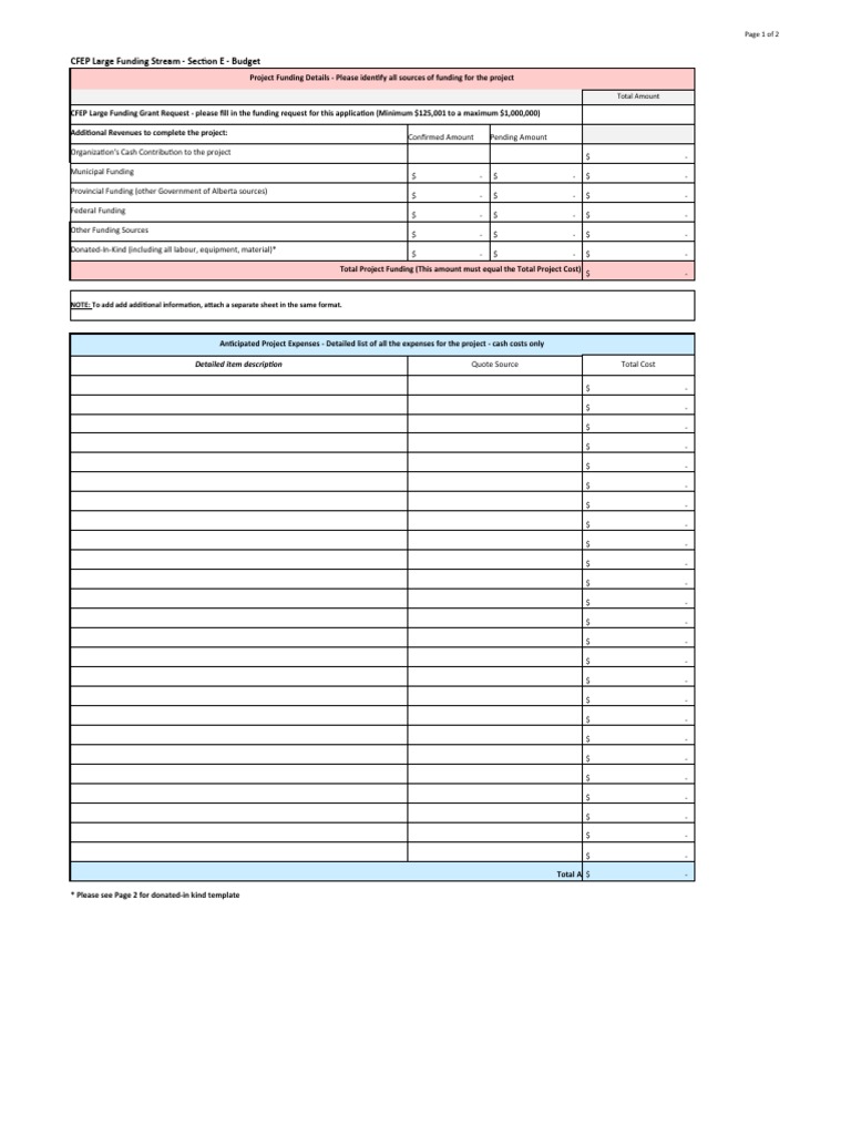 CFEP Large Funding Stream - Section E - Budget: Detailed Item ...