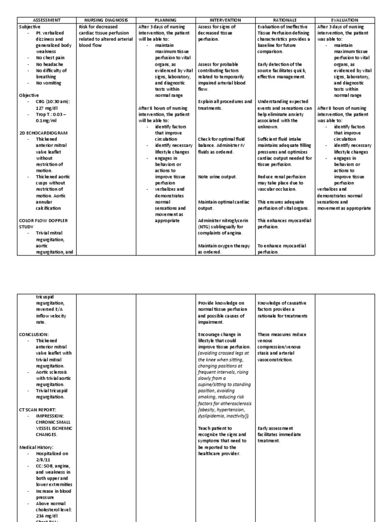 Risk For Decreased Cardiac Tissue Perfusion | PDF | Heart Valve | Heart