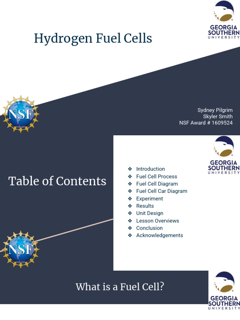 Hydrogen Fuel Cells: An Introduction | PDF | Fuel Cell | Materials