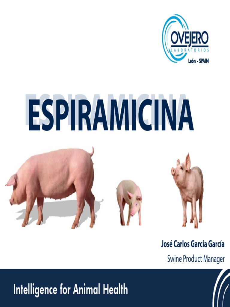 Espiramicina: Uso y Farmacocinética | PDF | Medicamentos con receta ...