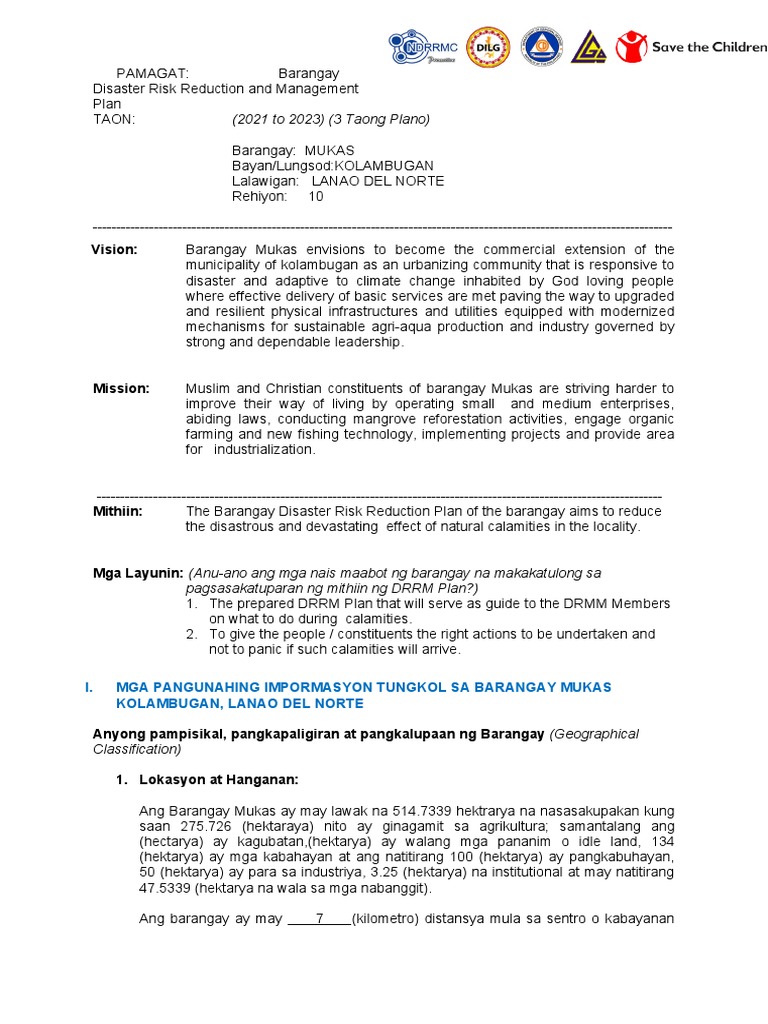 BDRRM Plan Final | PDF