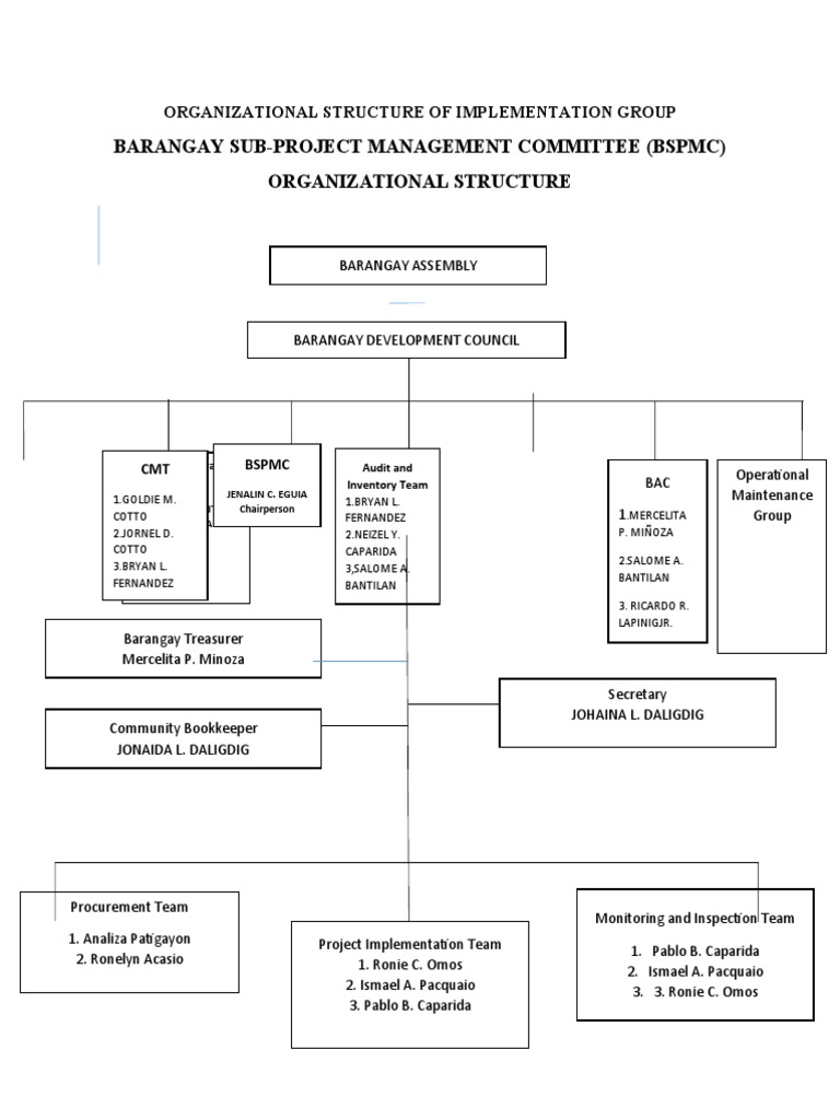 Organizational Structure Of Implementation Group Pdf