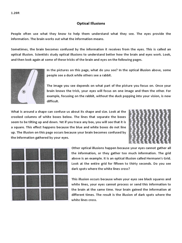 Understanding How We See: An Analysis of Optical Illusions and Their ...