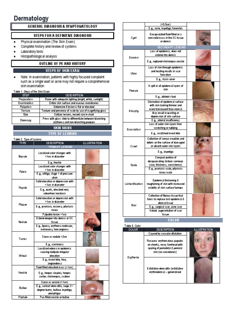Dermatology: Steps of Skin Exam | PDF | Skin | Polycystic Ovary Syndrome