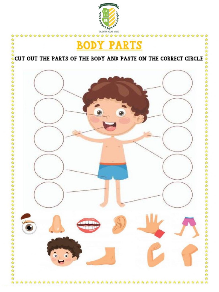 Body Parts | PDF