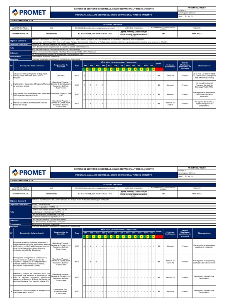 Programa Anual HSE 2019 Mina Justa | PDF | Presupuesto | Perú