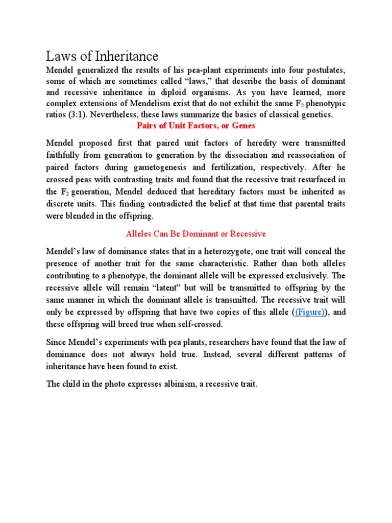 Laws of Inheritance | PDF