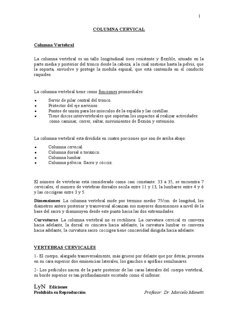 Anatomía y Función de la Columna Cervical | PDF | La columna vertebral ...
