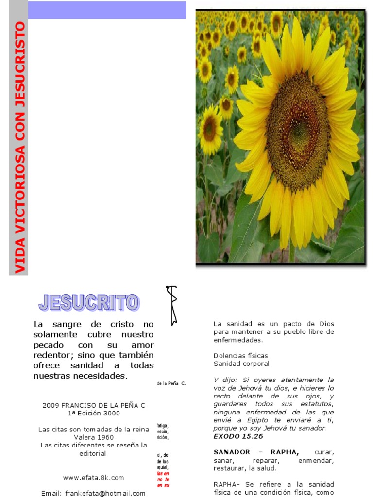 VIDA VICTORIOSA CON JESUCRISTO | PDF | Jesús | Cristo (título)