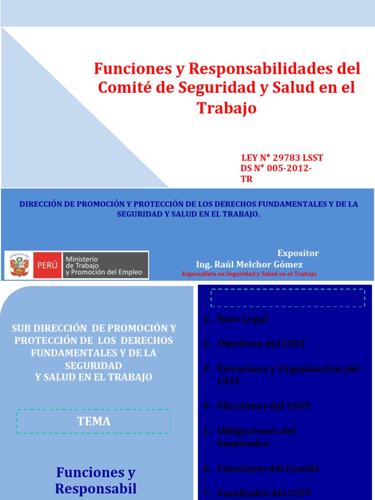 Comite de SST Funciones y Responsabilidades | PDF | Elecciones | Votación