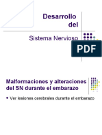 Teoría de VAN LIMBORGH | PDF | Epigenética | Anatomía