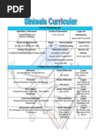 Curriculum Gaby | PDF