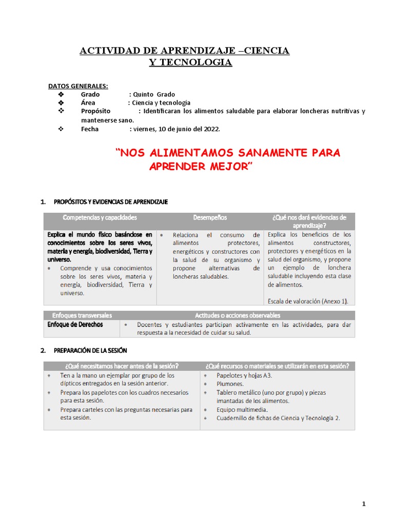 Actividad Ciencia-Los Alimentos Saludables | PDF