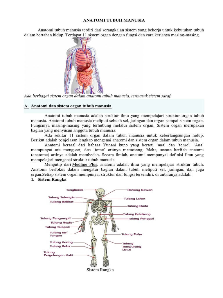 Sistem Organ Tubuh Manusia Pdf