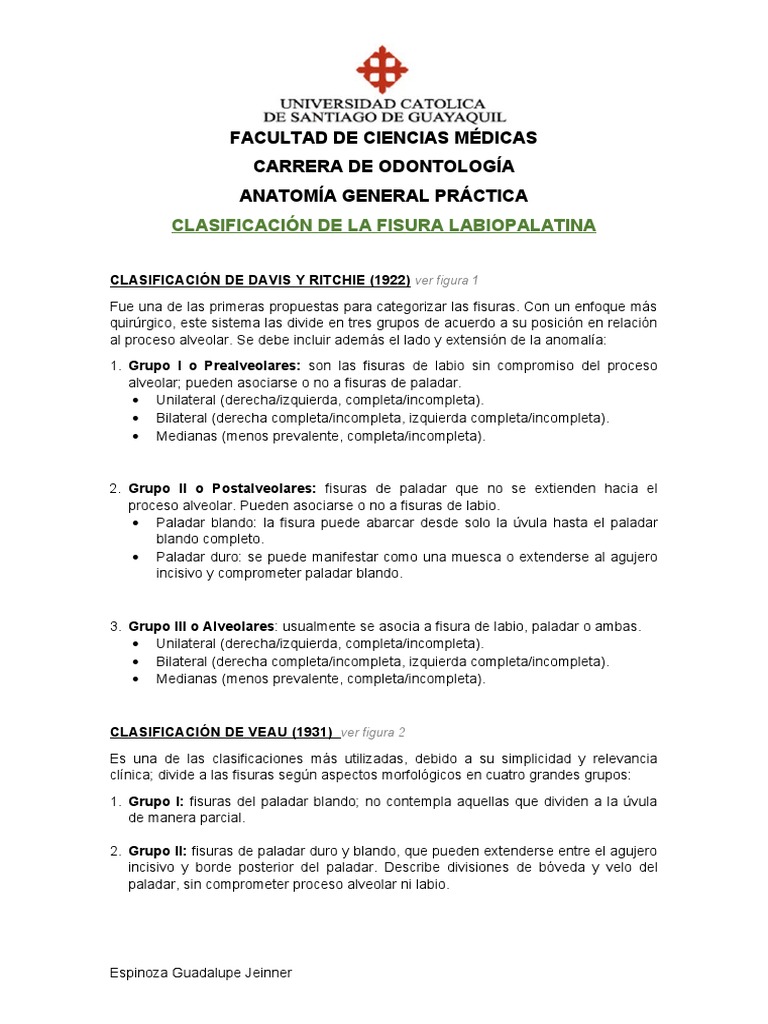 Classifying Labiopalatal Clefts by Davis & Ritchie, Veau & Chile | PDF ...