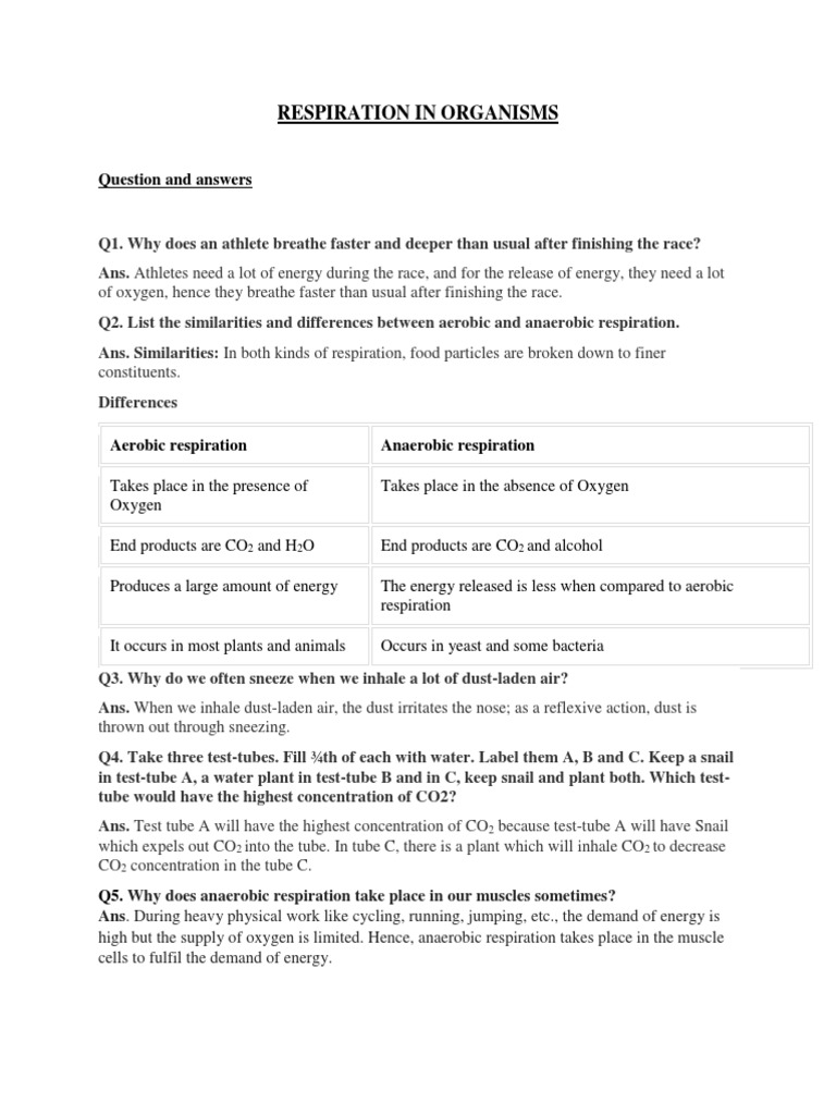 Respiration in Organisms: Question and Answers | PDF | Breathing ...