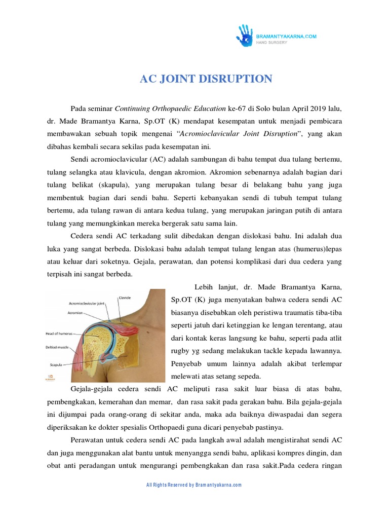 AC - Joint - Disruption Journal | PDF